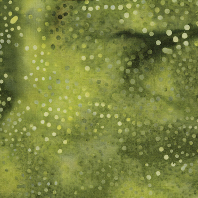 Full Bloom BOM – Applique Quilt Kit – Barbara Persing & Mary Hoover ...